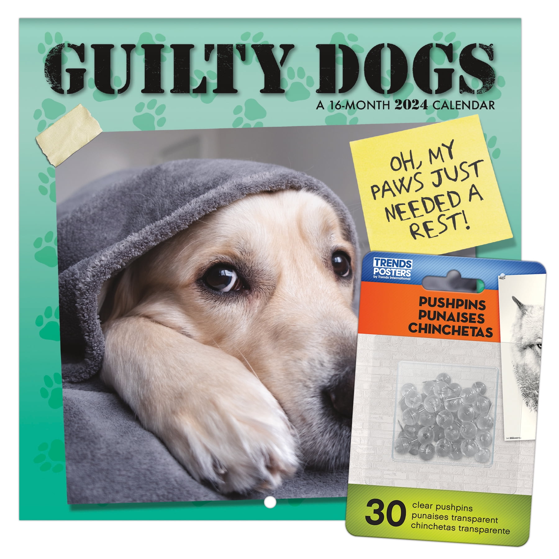 Trends International 2024 Guilty Dog Mini Wall Calendar & Push Pins ...