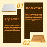 5 Layer Beehive, Bee Hive Dipped in 100% Beeswax, Include Queen ...