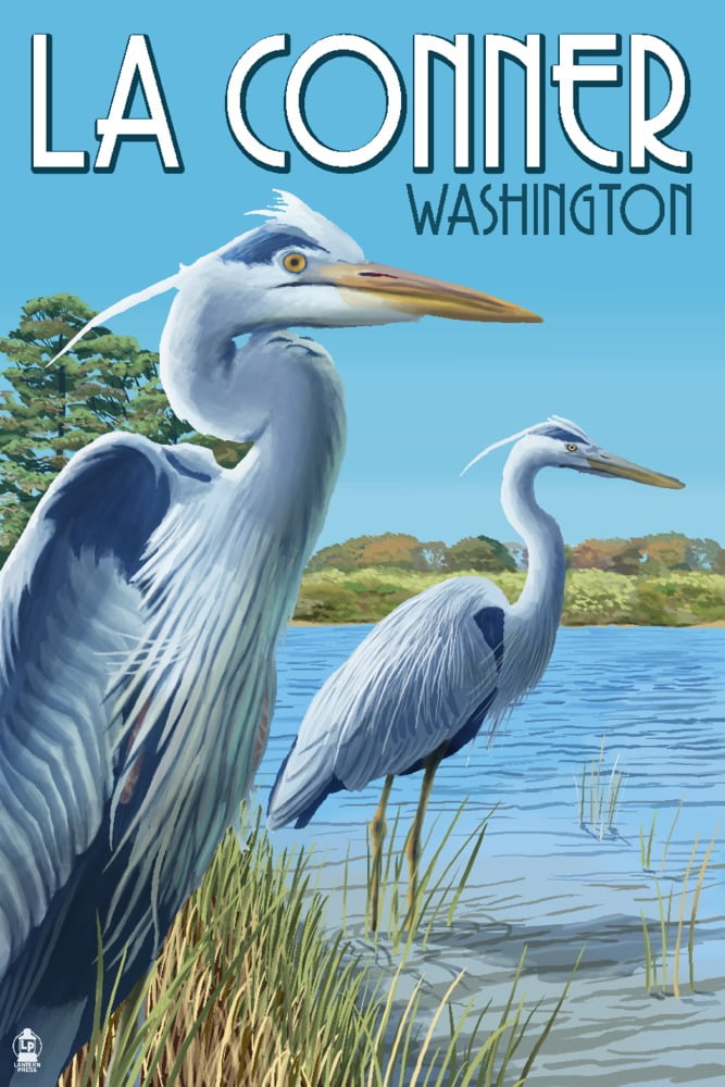 La Conner, Washington, Blue Herons (12x18 Wall Art Poster, Room Decor ...