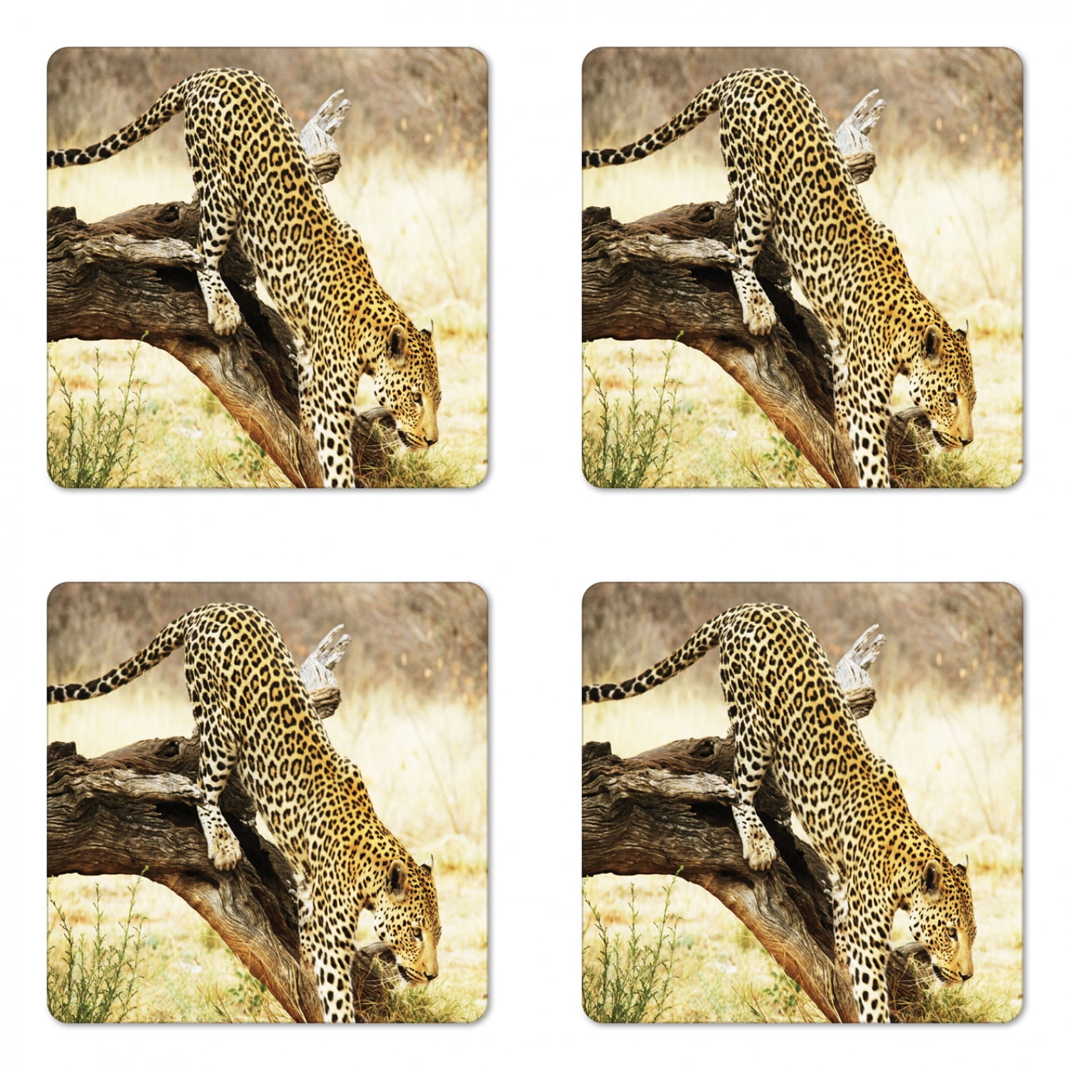 Safari Coaster Set of 4, Leopard on Tree Trunk Desert Plants Exotic ...