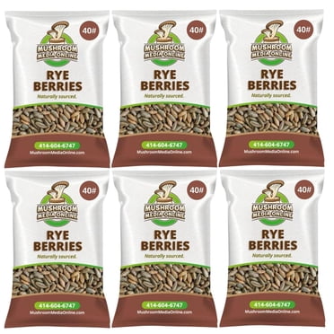 Whole Rye Berries for Mushroom Grain Spawn - Commercial Use - Walmart ...