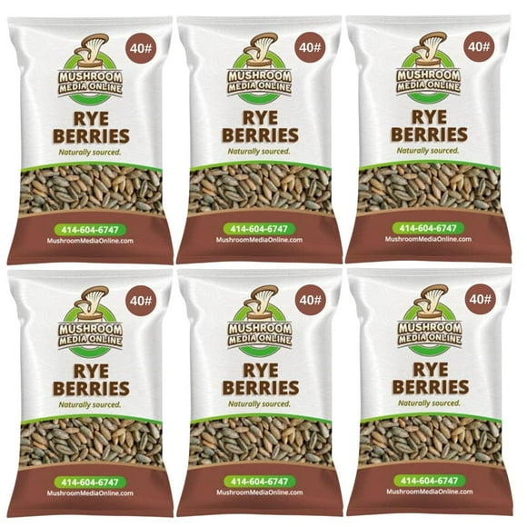 Rye Berries Bulk