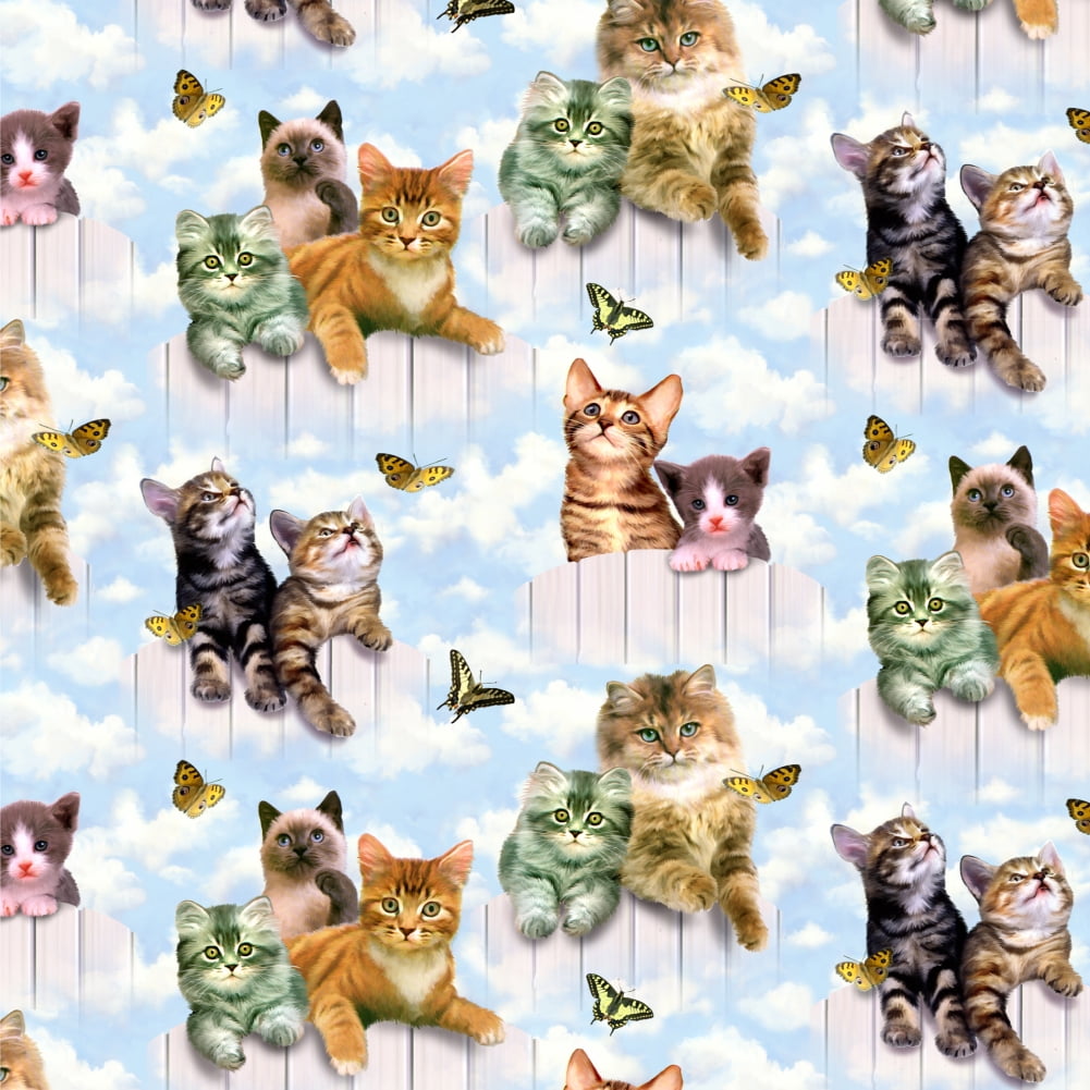 Kittens Cats and Butteflies Pattern Premium Roll Gift Wrap Wrapping ...