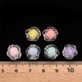 500 g Transparent Acrylic Beads Bead in Bead Flower Mixed Color ...