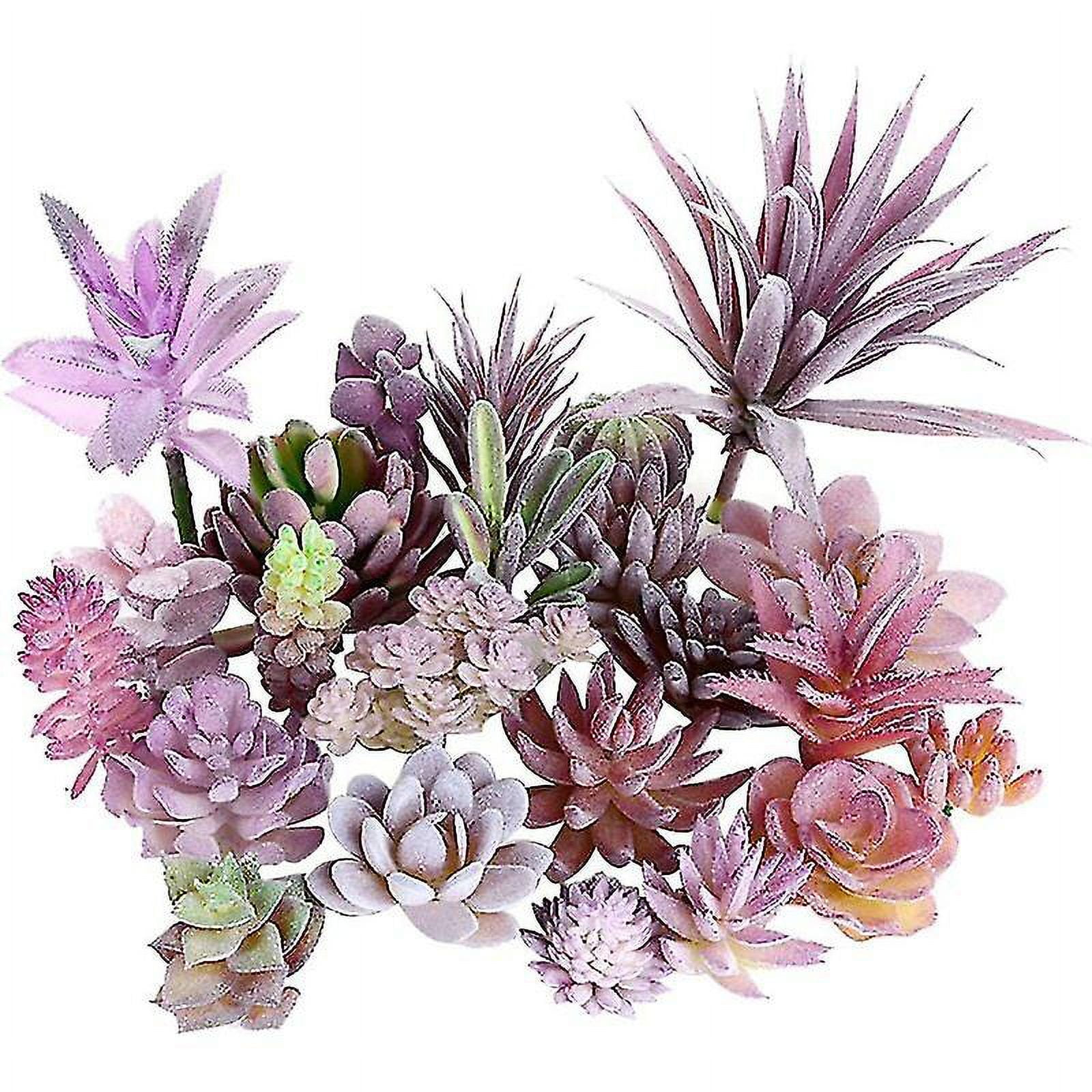 Plantas suculentas artificiales 15 piezas Suculentas artificiales ...