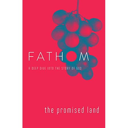 Fathom Bible Studies: The Promised Land Student Journal: A Deep Dive ...
