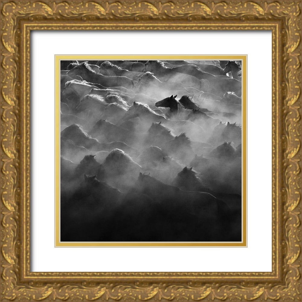 Zheng, Na Anna 26x26 Gold Ornate Wood Framed with Double Matting Museum ...