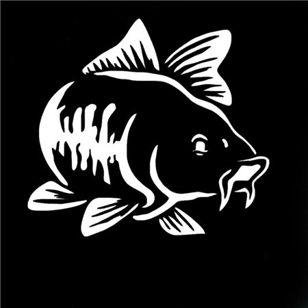 Carp Fishing Car Vinyl Decal Art Car Vinyl Decal Art Car Sticker ...