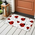 Bathroom Rugs 2x3 Ft, Ladybug Non Slip Area Rugs for Kitchen Bedroom ...