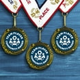 Team Player Community Award Star Design Medal | Volunteer and Community ...