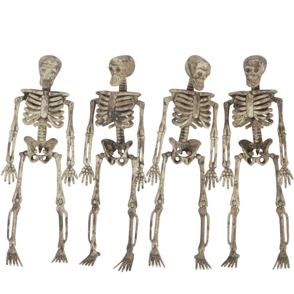20ft Skeleton