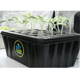 OxyCLONE OX20SYS 20 Site Hydroponics Compact Recirculating Cloning ...