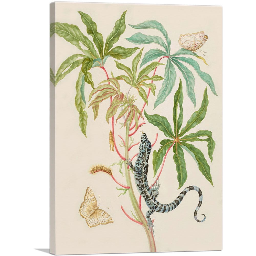 ARTCANVAS Cassava White Peacock Butterfly Young Golden Tegu 1702 Canvas ...