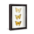 23x15 Shadow Box Frame Brown Cherry | 2.625 Inches Deep Pine Wood ...