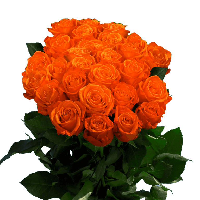 Red Orange Rose Bouquet