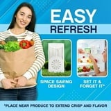 NonScents Refrigerator Deodorizer, 200g Sachet, Odor Eliminator ...
