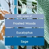 Glade PlugIns Scented Oil Air Freshener Refills, First Frost, 1.34 fl ...