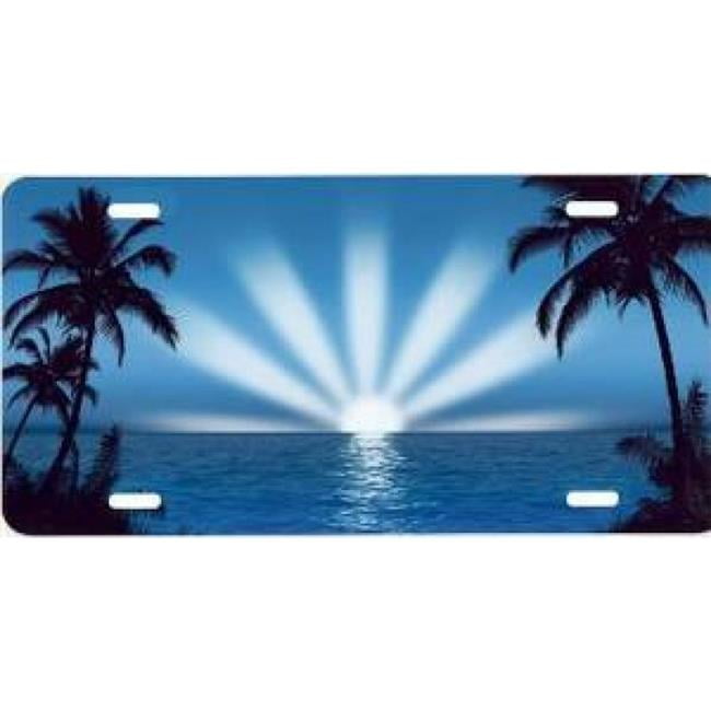 212 Main T2025IV 6 x 12 in. Light Blue Sunburst License Plate, Free ...