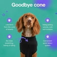 Pet Clothes for Medium Dogs Male Pet Clothes for Small Dogs Girls Dress ... Pet Clothes for Medium Dogs Male Pet Clothes for Small Dogs Girls Dress ...