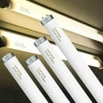 DAYI T12 15 Watt Fluorescent Bulb, 18 Inches F15T12/CW Straight ...