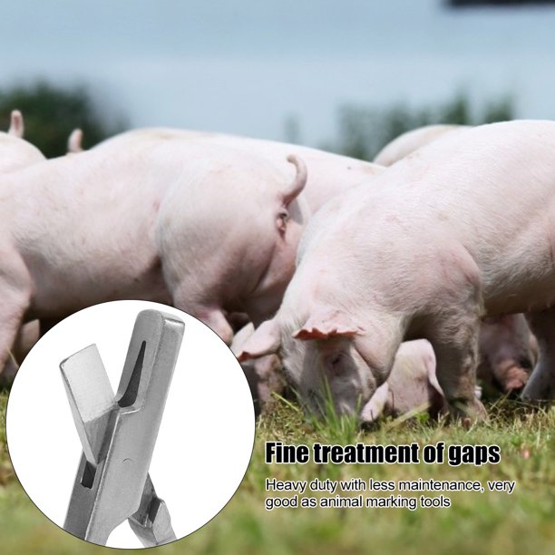 Ear Notcher, Animal Identify Tool U Shape Stainless Steel Built In ...