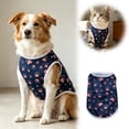 250 Anniversary USA Cozy Apparel Soft Breathable Fashion Outfit For ...