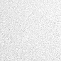 Armstrong Ceiling Tiles; 2x4 Ceiling Tiles - 12 pcs White Ceiling Tiles ...