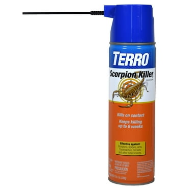 Black Flag Spider and Scorpion Killer 16 Ounces, Aerosol Insecticide ...