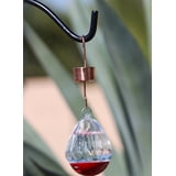 Glass Bee & Wasp Proof Hummingbird Feeder + Skinny Ant Moat Bundle ...