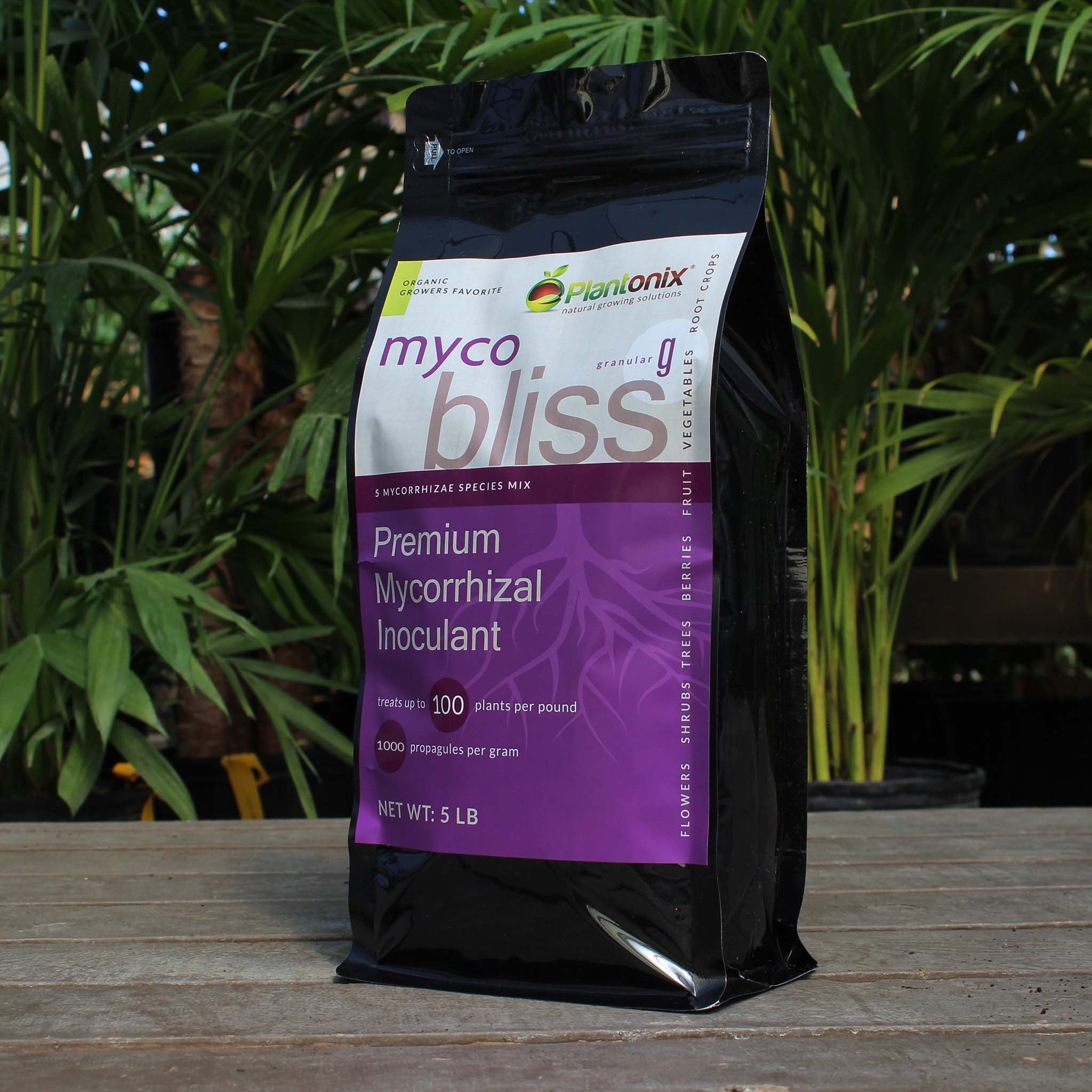 Buy Plantonix Myco Bliss Mycorrhizal Fungi Inoculant Powder 1 lb Online at Lowest Price in Ubuy ...