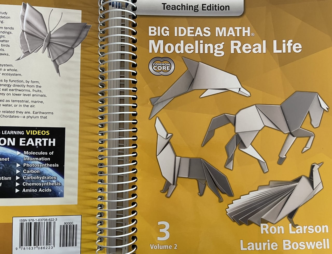 Big Ideas Math Modeling Real Life Grade 3 Volume 2 Teaching Edition big-ideas-math-modeling-real-life-grade-3-volume-2-teaching-edition