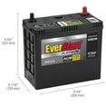 Free Shipping! EverStart Platinum AGM Automotive Battery, Group Size ...