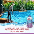 HTH Swimming Pool Care Chemicals, Quick Clear Clarifier Drop Out ...
