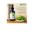 Earth Elements Organics Organic Chickweed Oil Raw, Infused, Herbal Oil ...