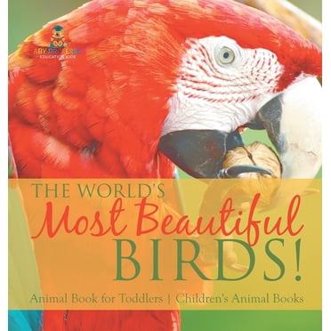 On the Wing: Insects, Pterosaurs, Birds, Bats and the Evolution of ...
