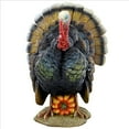Design Toscano North American Turkey Statue - Walmart.com