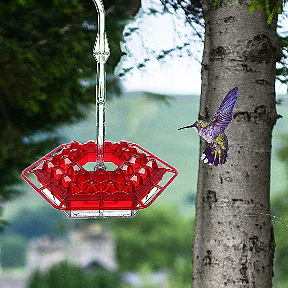 Click here for Risewill Marys Hummingbird Feeder With Perch And B... prices