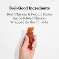 DreamBone Mini Sticks Wrapped with Real Chicken, Rawhide Free Chews for ...
