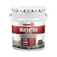 Bright White, Zinsser WaterTite Professional Matte Mold and Mildew ...