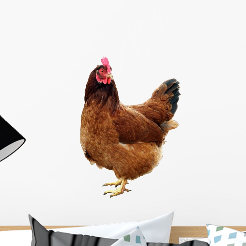 Chicken One Chicken Wall Decal by Wallmonkeys Peel and Stick Graphic ...