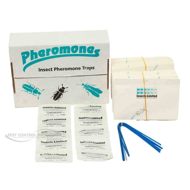 Casemaking Clothes Moth Kit box (10 traps + 10 lures) - Walmart.com