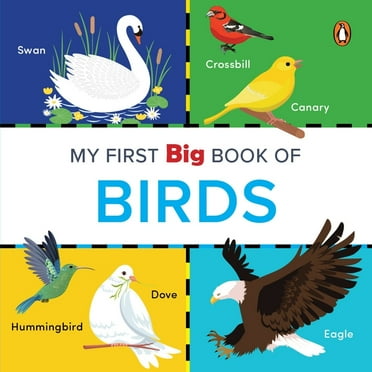 Birds (Board Book) - Walmart.com