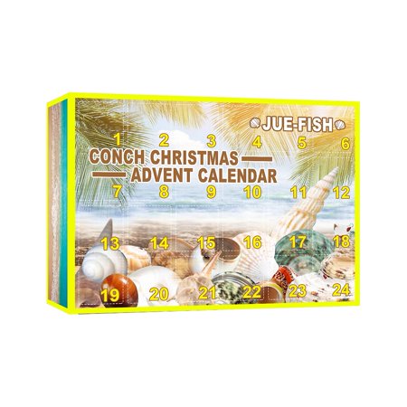 Advent Calendar Surprising Nice-looking Shell Mystery Christmas Conch ...