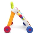 Kids Toy Early education Musical Multifunctional Cartoon Walker for ...