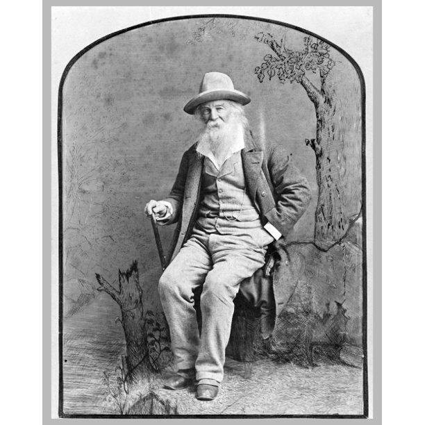 Print: Walt Whitman, Full-Length Portrait, Seated, Facing Slightly Left ...