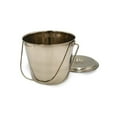 Stainless Steel Milk Pail Bucket with Lid & Handle - Walmart.com
