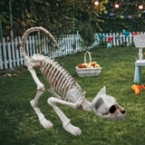 Travelwant Skeleton Cat Skeleton for Halloween Decorations, Skeleton ...