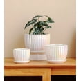 White Plant Pots,Pearl Gold Ceramic Flower Pots 4"+5"+6" Inch Indoor ...
