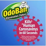OdoBan Disinfectant & Odor Eliminator, Eucalyptus (1 gal. concentrate ...