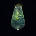 EP Light Table Lamp,Edison Style Light Bulb with Wood Base,Decorative ...